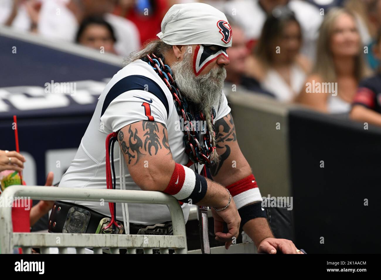 Houston Texans fan during the NFL football game between the ...