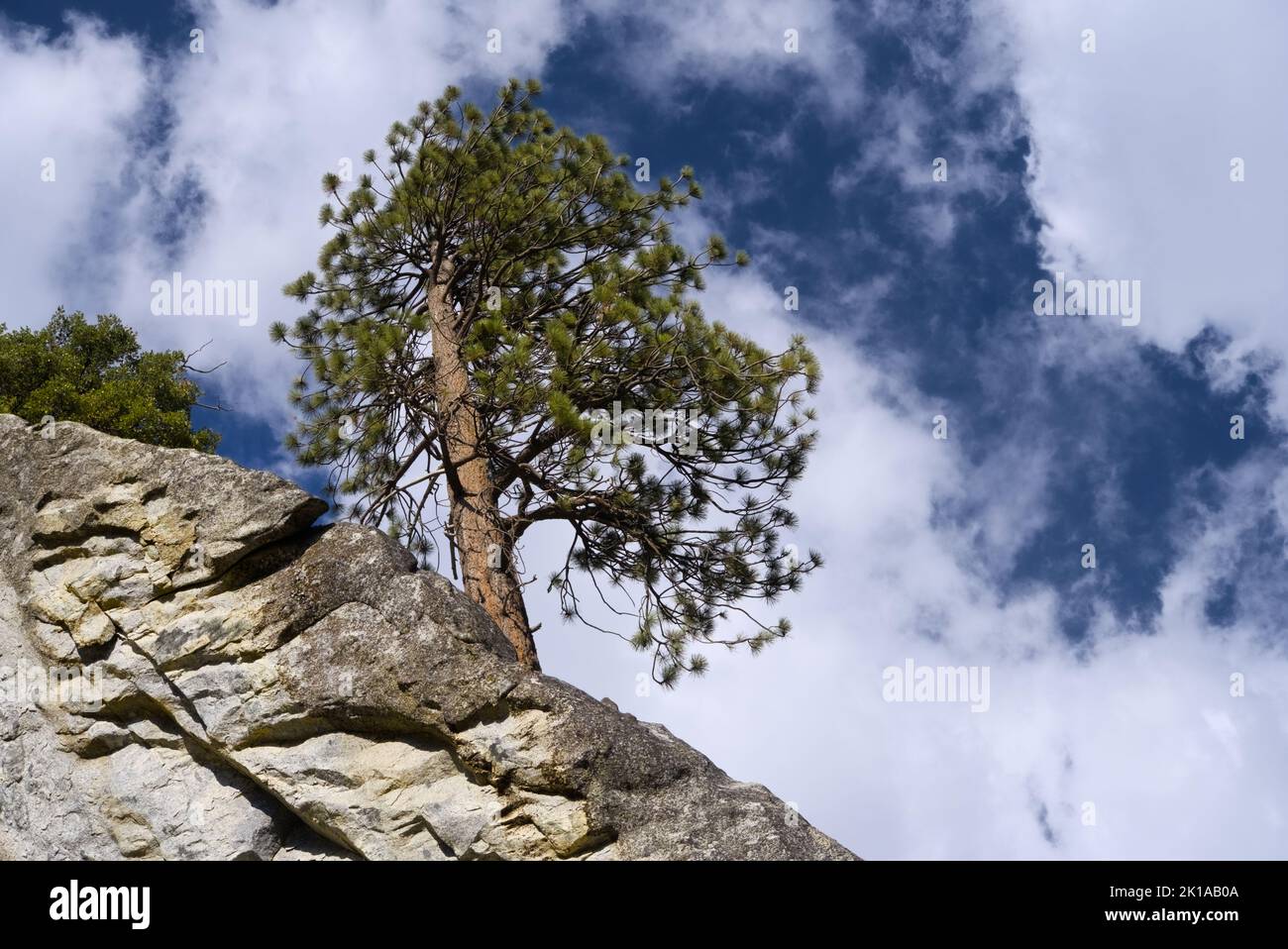 High sierra trial hi-res stock photography and images - Alamy
