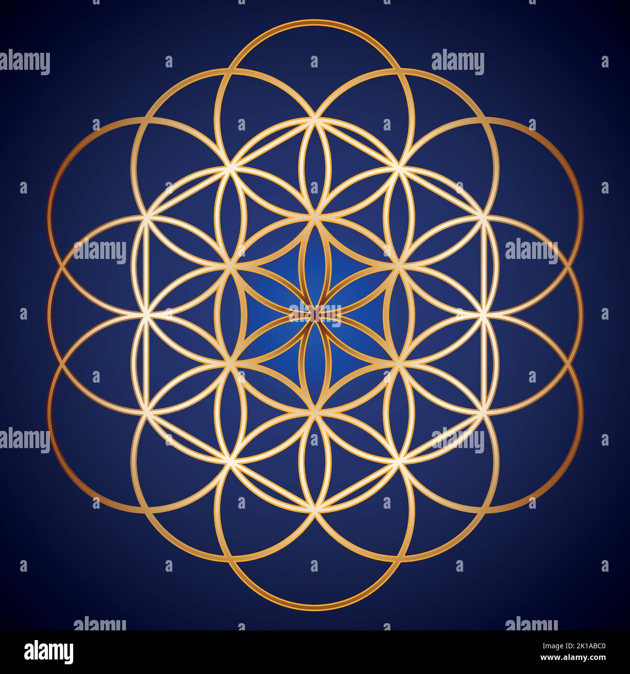 Gold Flower of Life Sacred Geometry in dark blue background Stock ...