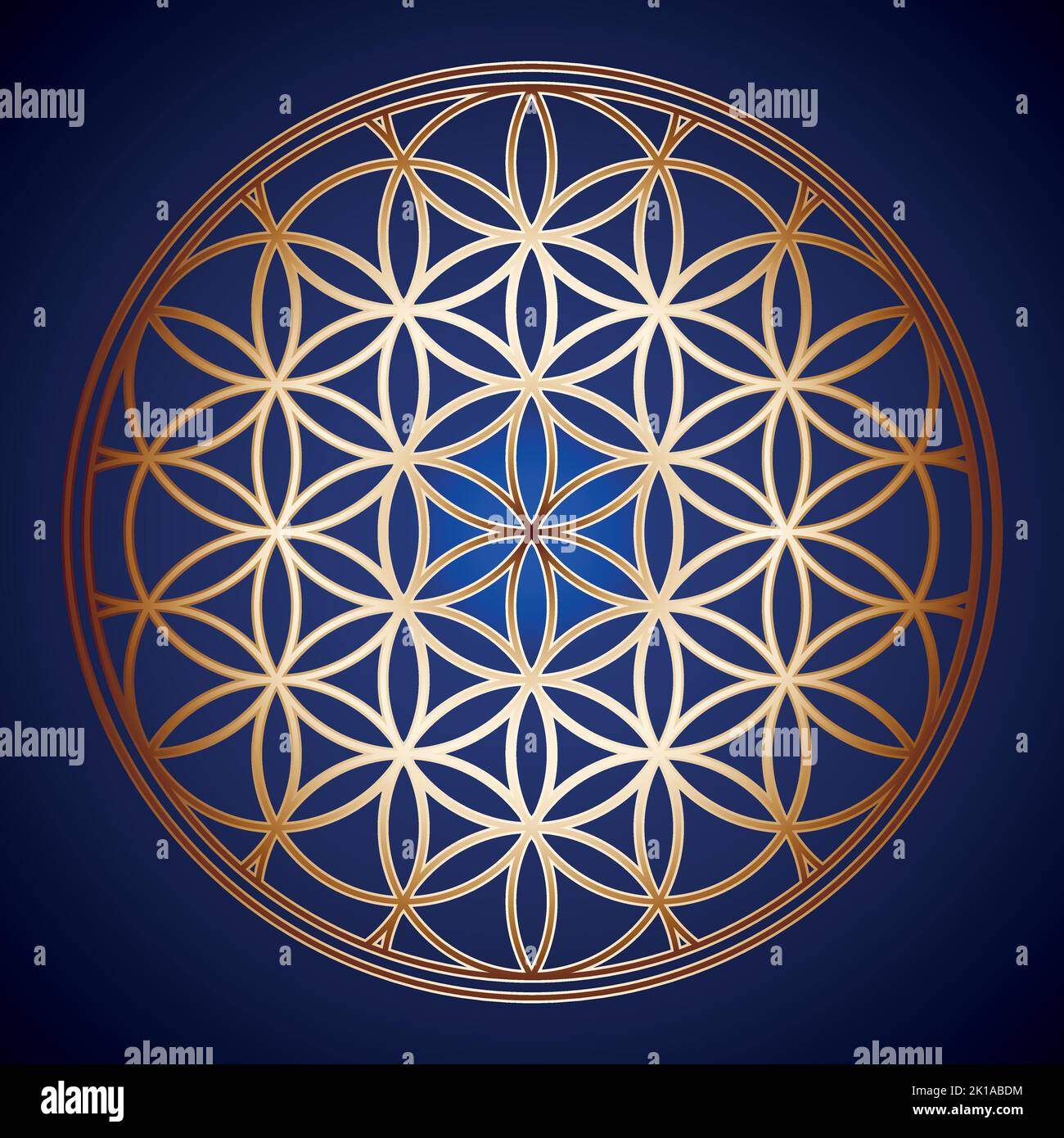 Gold Flower of Life Sacred Geometry in dark blue background Stock ...