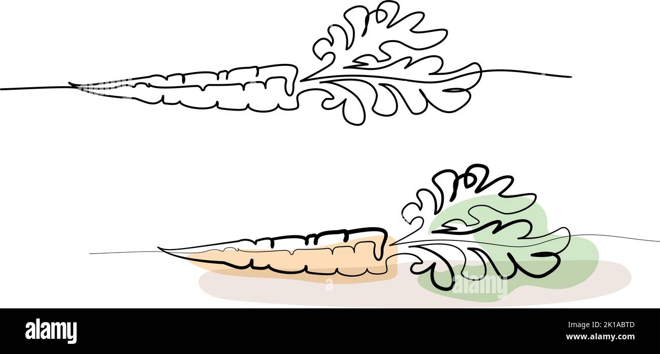Carrot sketch with color spots. Continuous One line drawing art ...