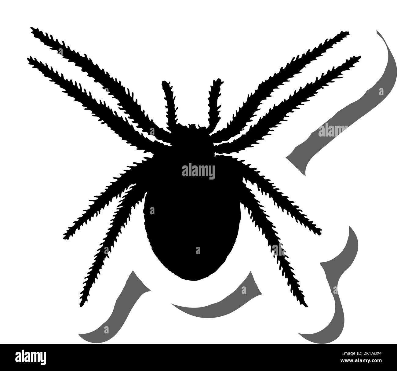 Halloween black spider sticker with shadow. Vector illustration Stock ...