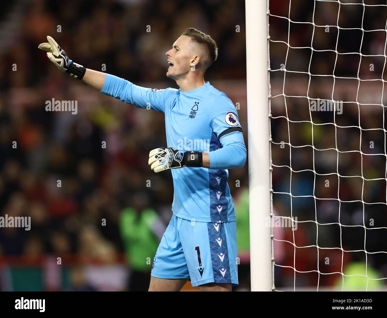 Dean henderson forest 2022 hi-res stock photography and images - Alamy