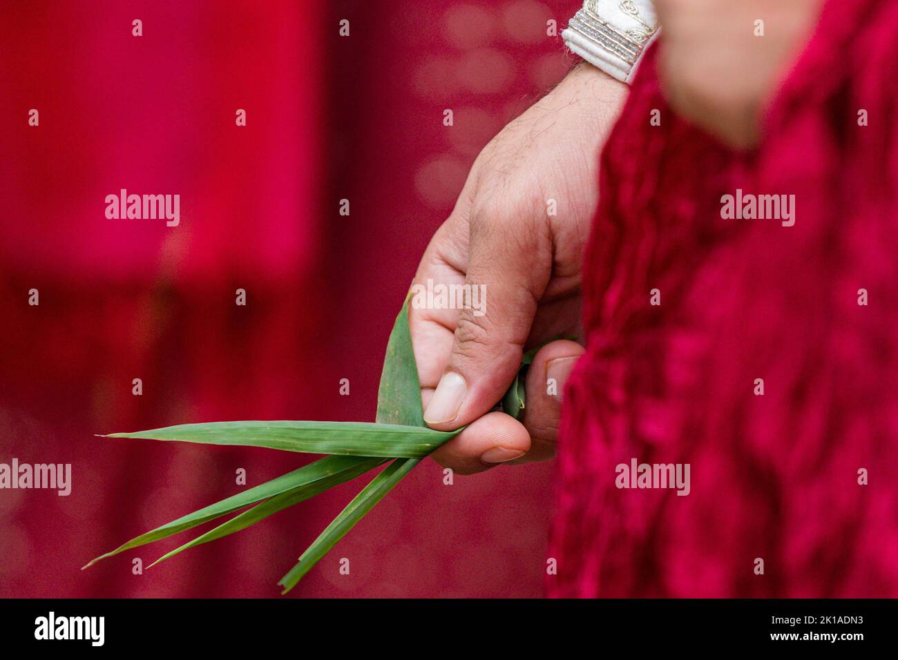 Kenyan Weddings Indian Asian Hindus Cultural heritage traditional ...