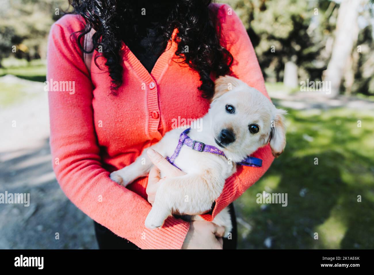 Unrecognizable curly brunette woman, embracing and holding with a ...