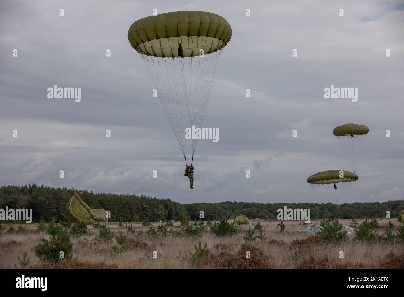 German paratroopers parachute over hi-res stock photography and images ...