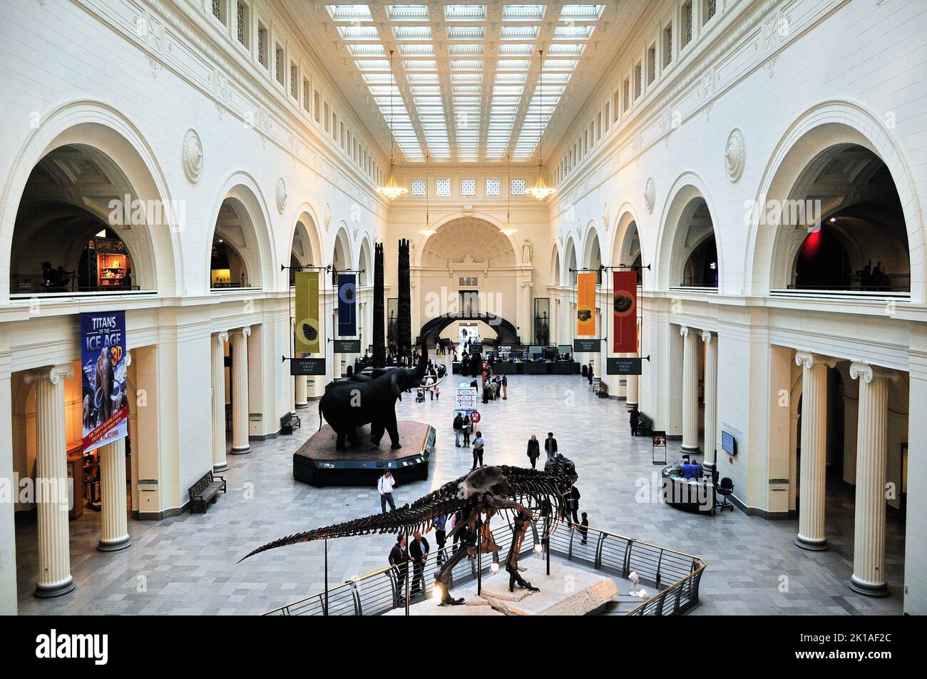 Chicago, Illinois, USA. The Main Hall at the Field Museum of Natural ...