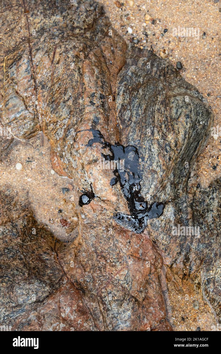 The sea beach and the rocks are polluted with oil. Crude oil spill in ...