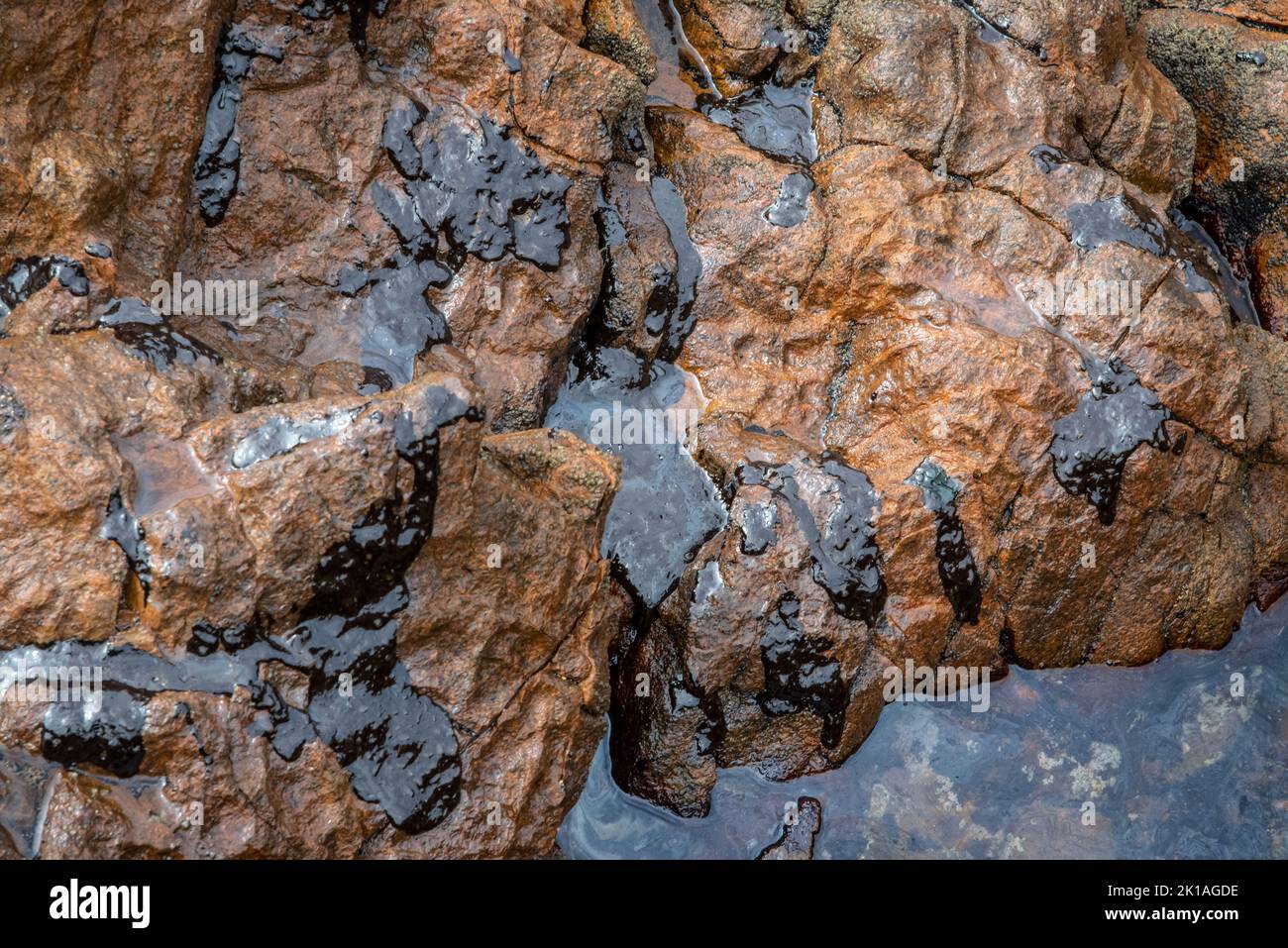 The sea beach and the rocks are polluted with oil. Crude oil spill in ...