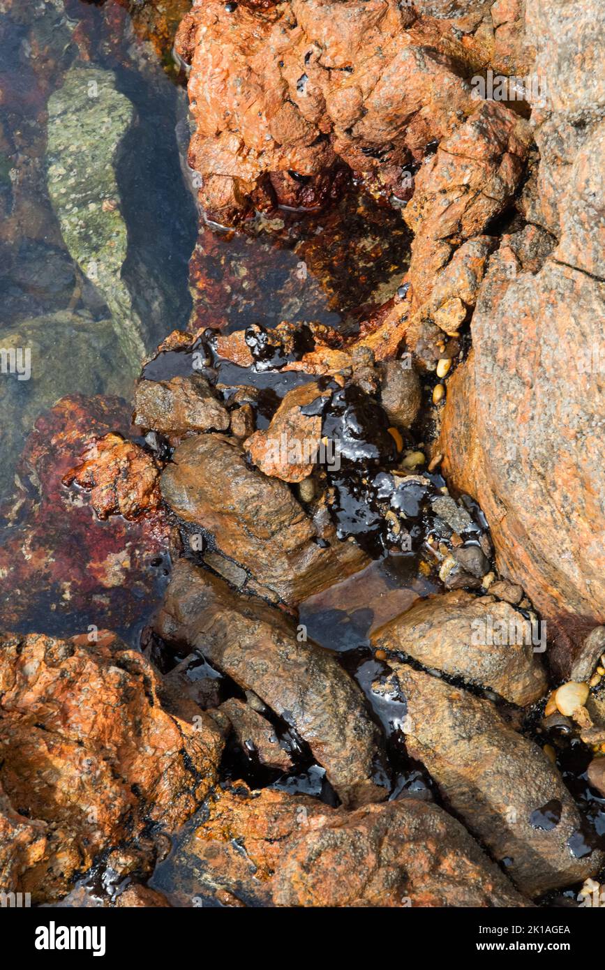 The sea beach and the rocks are polluted with oil. Crude oil spill in ...