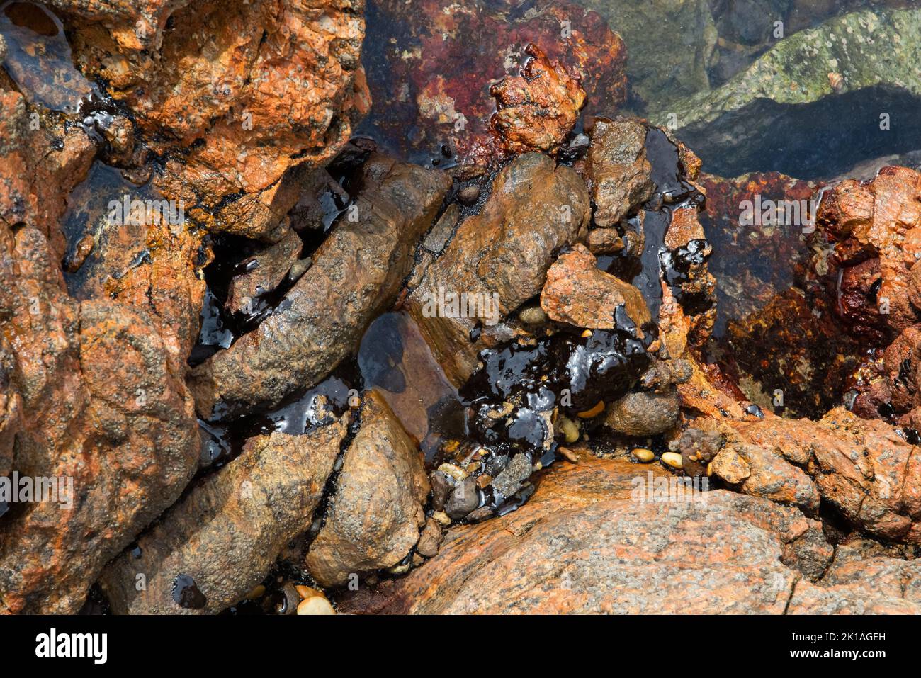 The sea beach and the rocks are polluted with oil. Crude oil spill in ...
