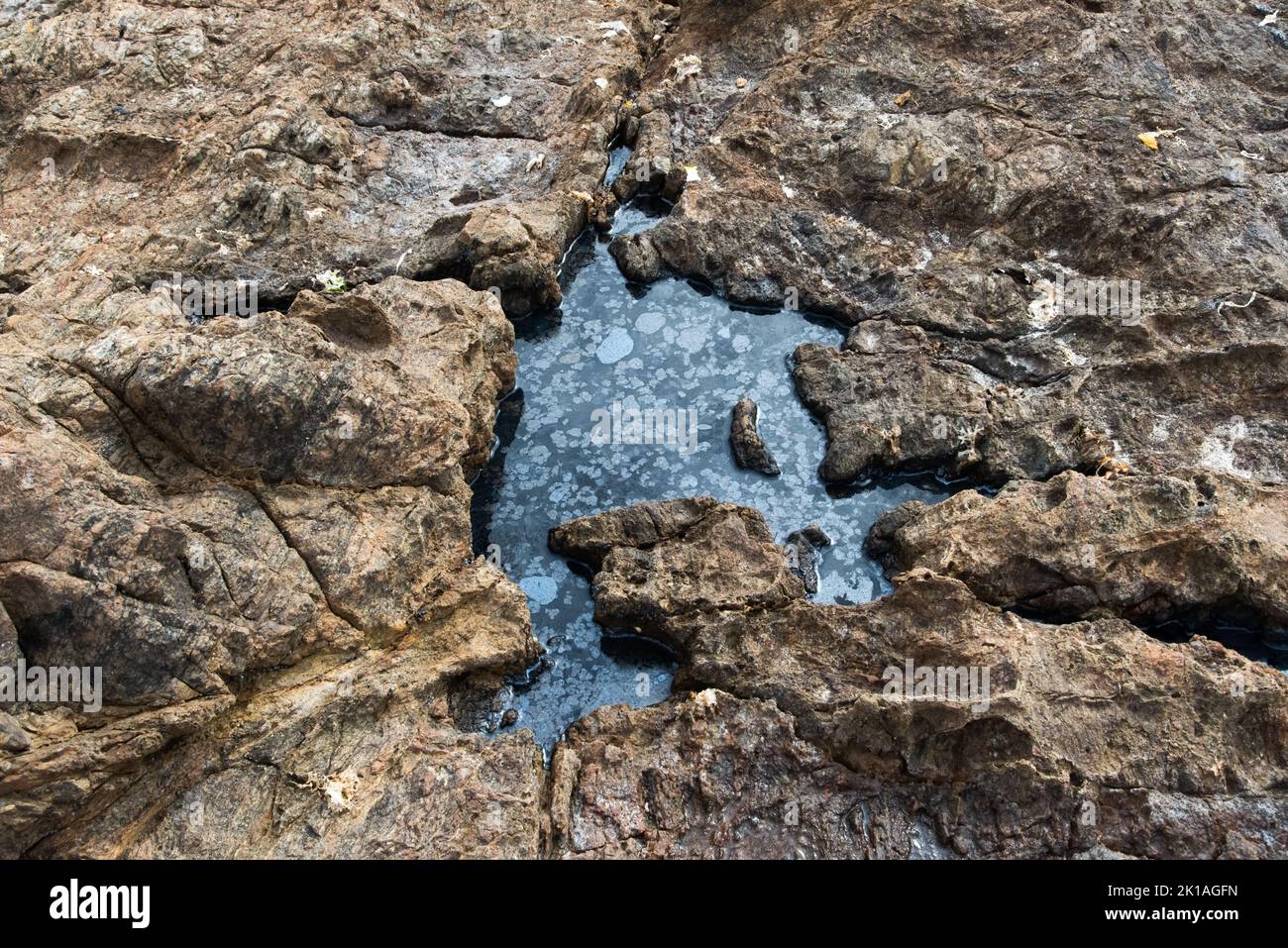 The sea beach and the rocks are polluted with oil. Crude oil spill in ...