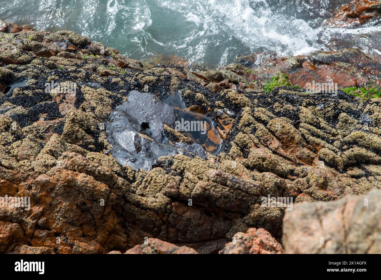 The sea beach and the rocks are polluted with oil. Crude oil spill in ...