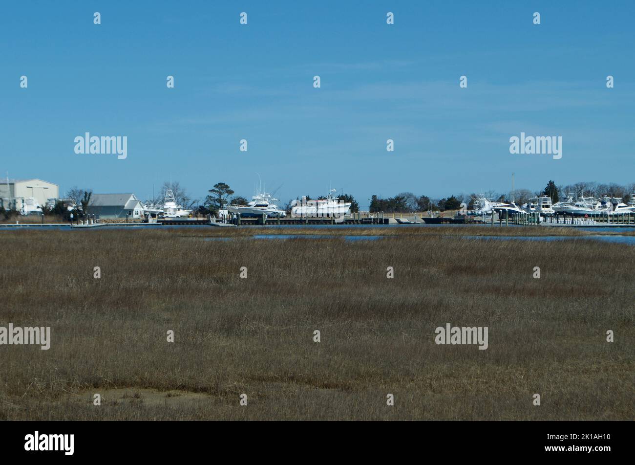 Wet marsh view hi-res stock photography and images - Alamy