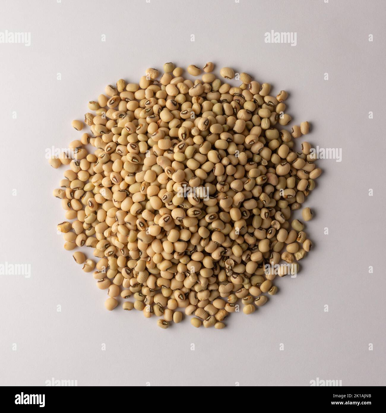 pile of cowpea, also called black-eyed pea or southern pea, most ...