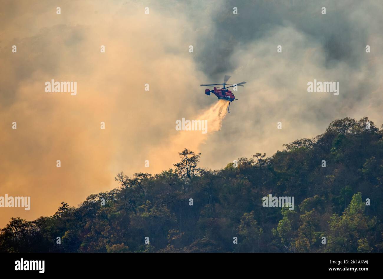 Fire fighting helicopter dropping water onto wildfire Stock Photo - Alamy