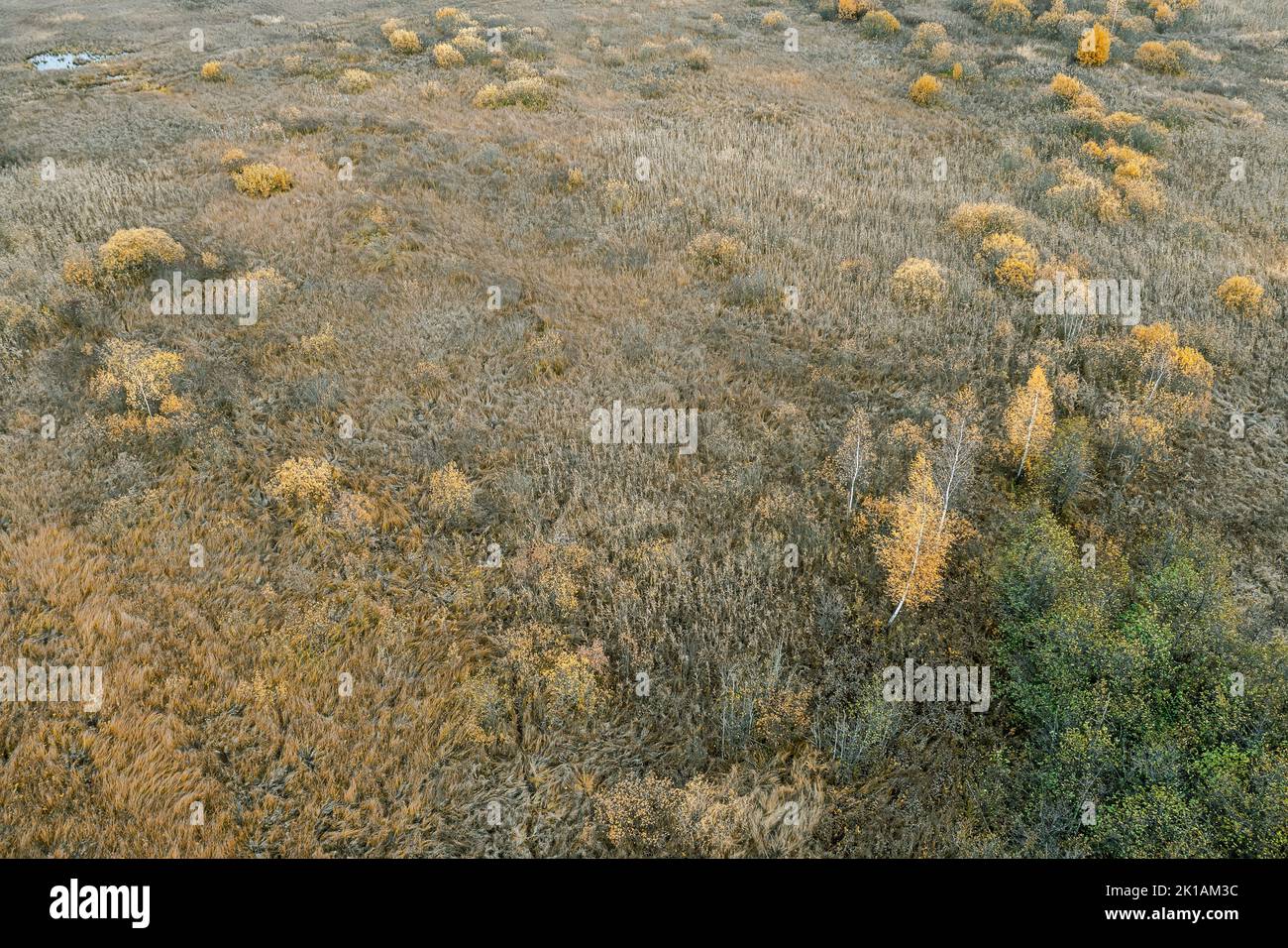 Wetland landscape hi-res stock photography and images - Alamy