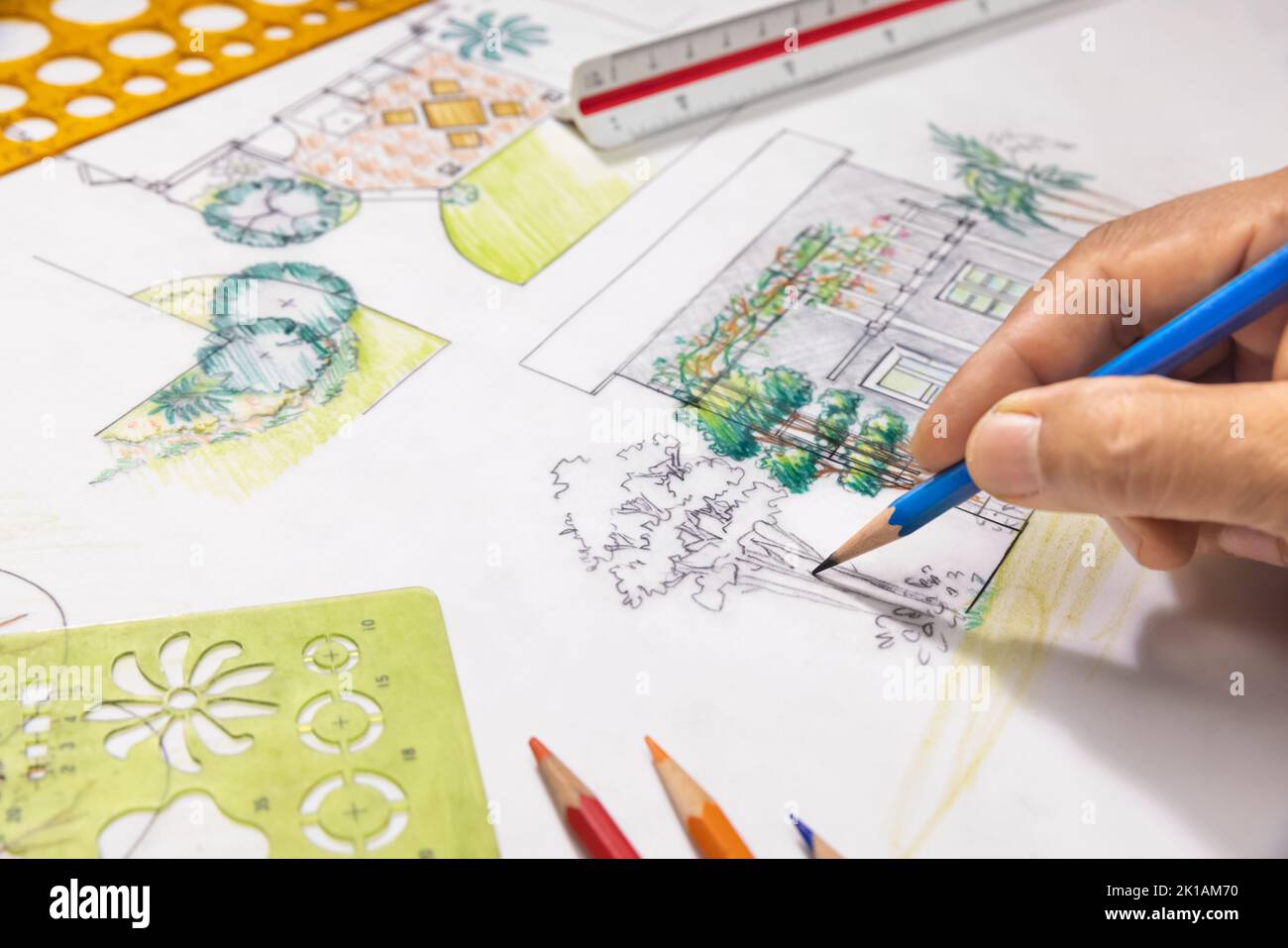 Landscape architect student learning garden plan design Stock Photo - Alamy
