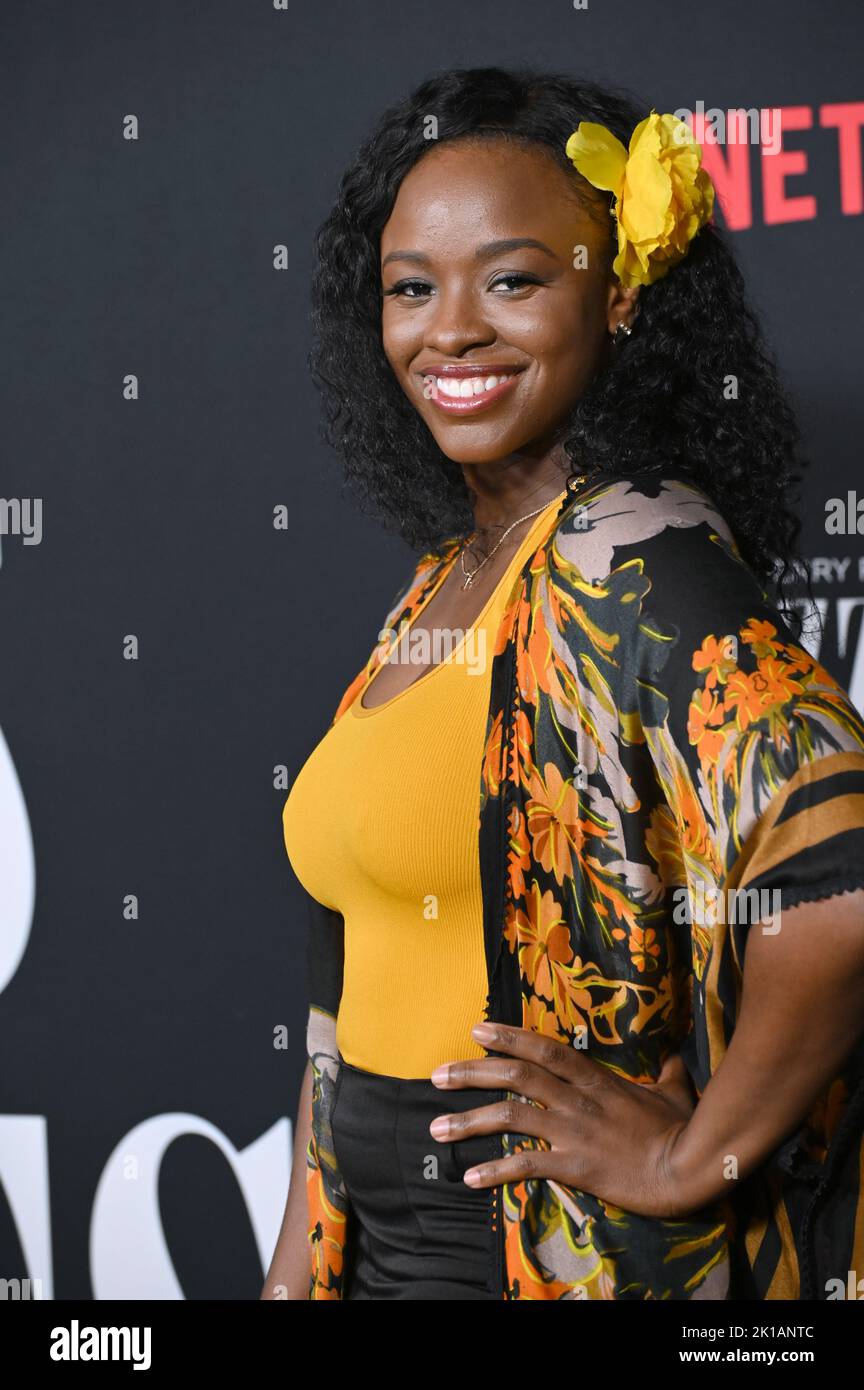 Nirine brown hi-res stock photography and images - Alamy