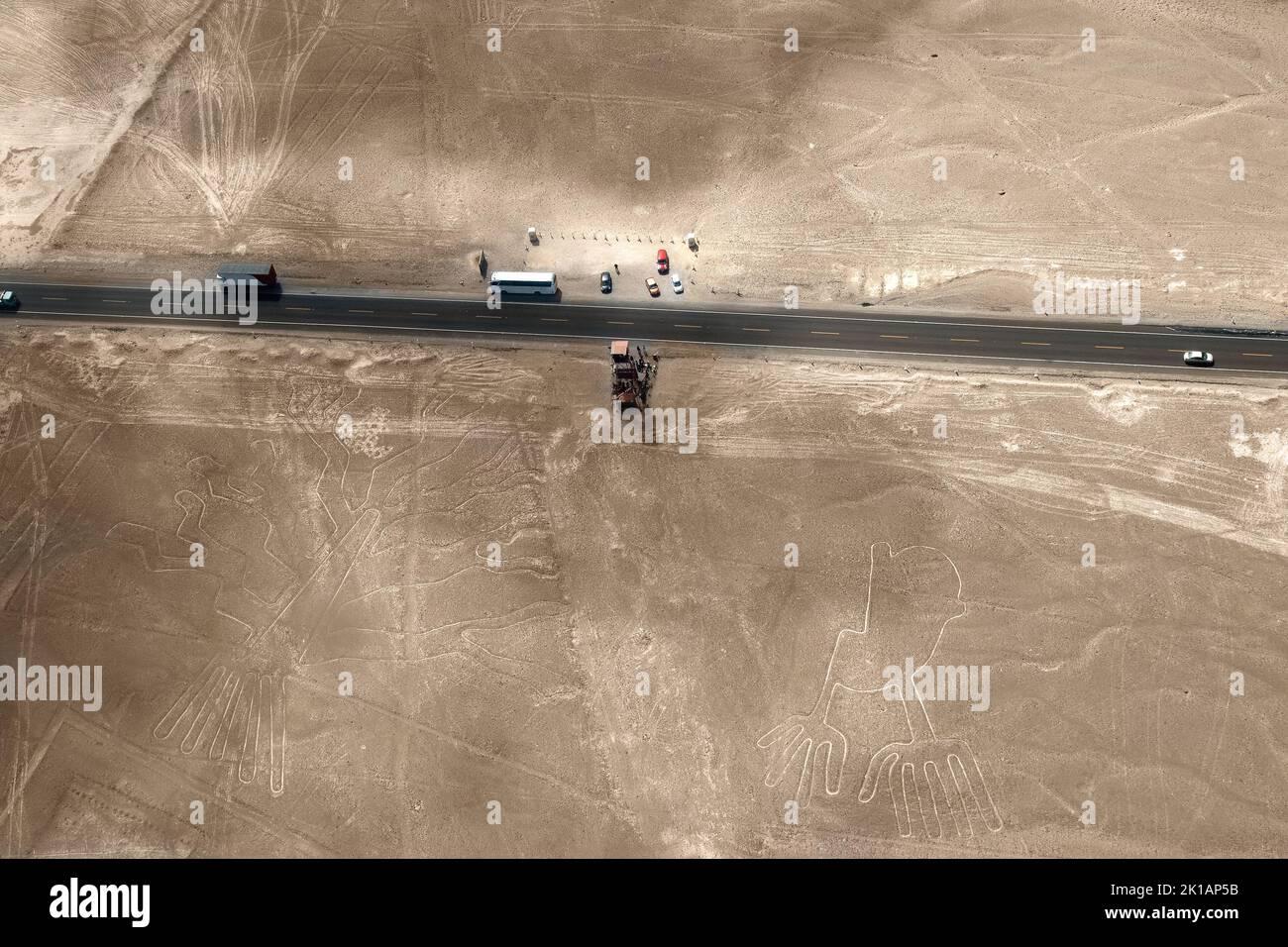 Unesco heritage: Nazca lines in Peru - hand and tree at the observation ...