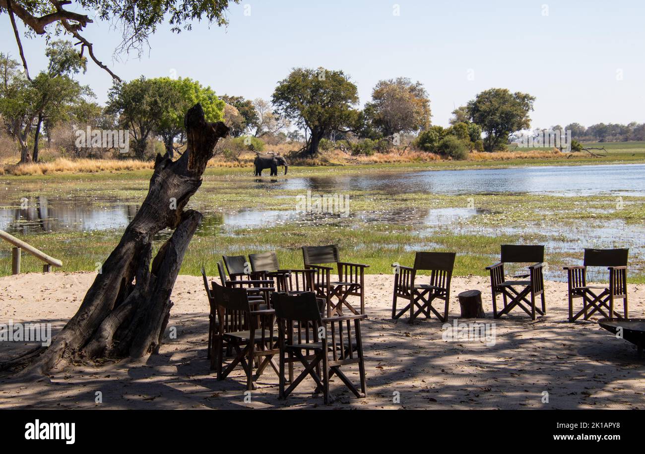 Maun, Botswana - the Pompom camp in the Okavango Delta Stock Photo - Alamy