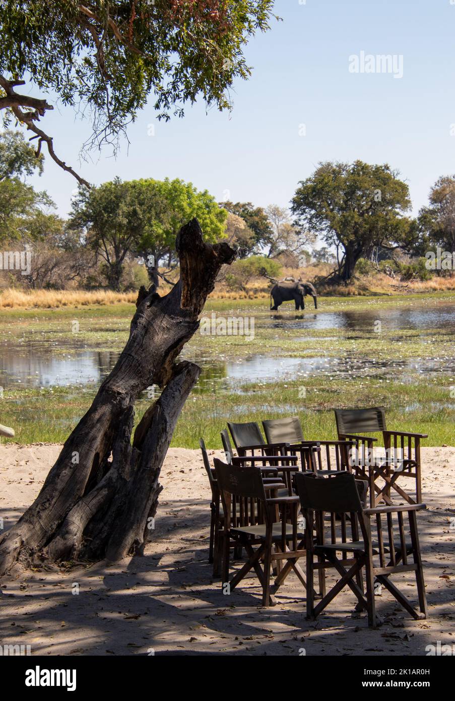 Maun, Botswana - the Pompom camp in the Okavango Delta Stock Photo - Alamy