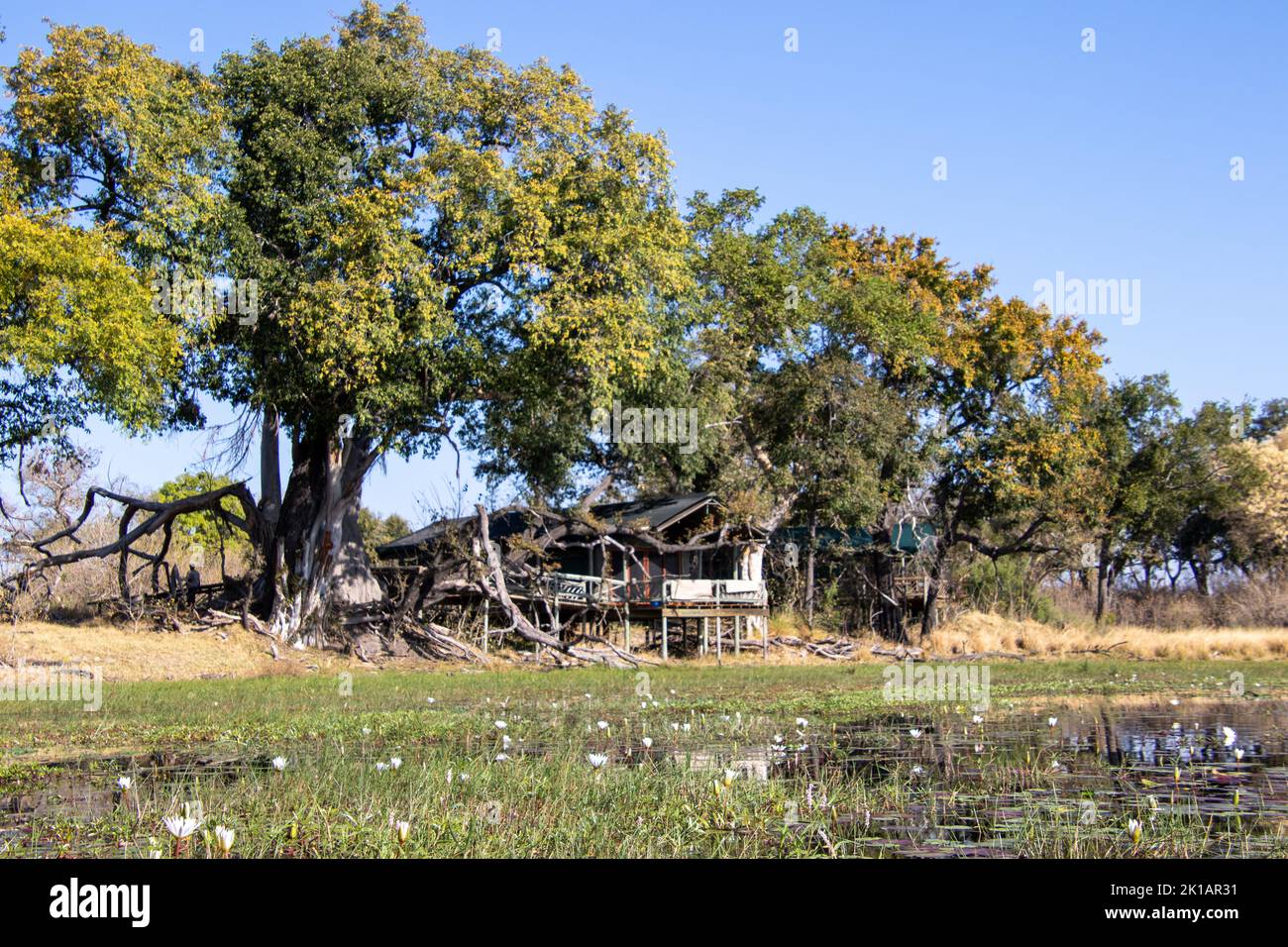 Maun, Botswana - the Pompom camp in the Okavango Delta Stock Photo - Alamy