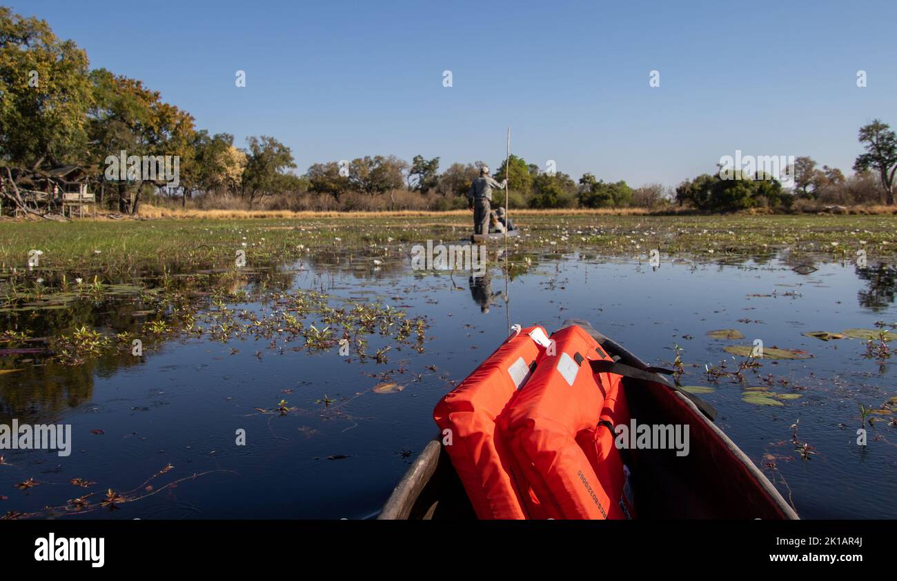 Maun, Botswana - makoro ride on the wetland at Pompom camp in the ...