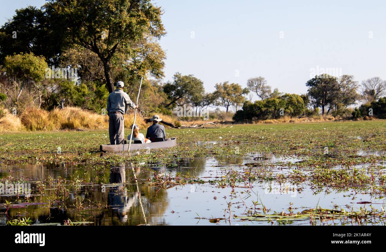 Maun, Botswana - makoro ride on the wetland at Pompom camp in the ...