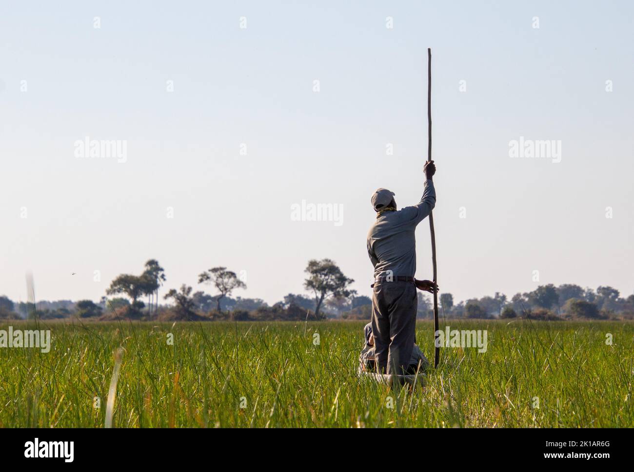 Maun, Botswana - makoro ride on the wetland at Pompom camp in the ...