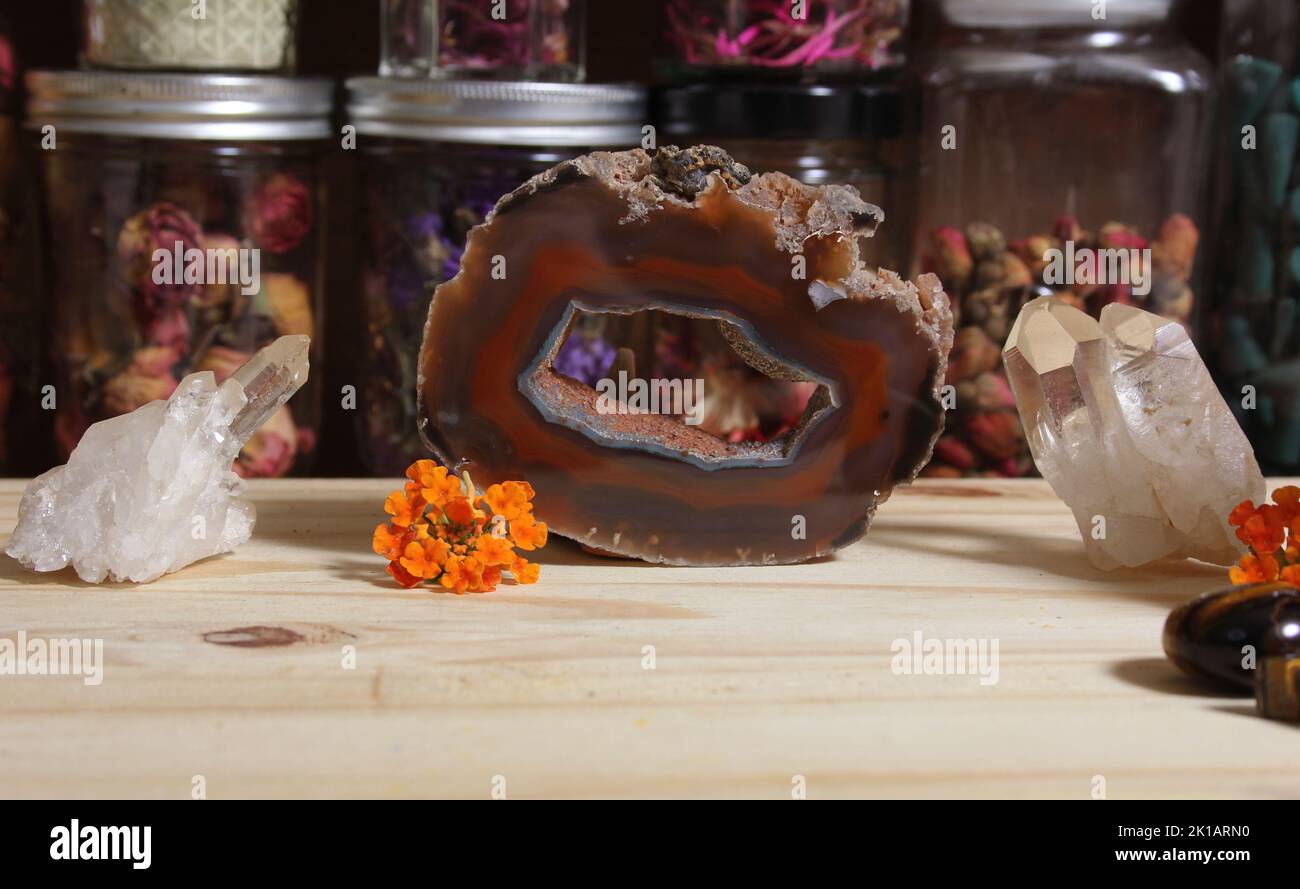 Agatized Coral With Quartz Crystals and Flowers on Meditation Altar ...