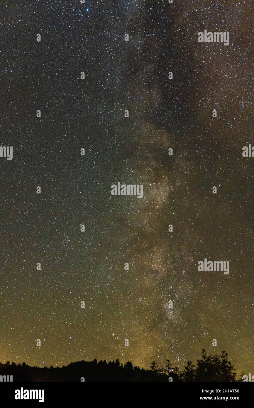 A silhouette of growing trees under blissful Milky Way in the sky Stock ...