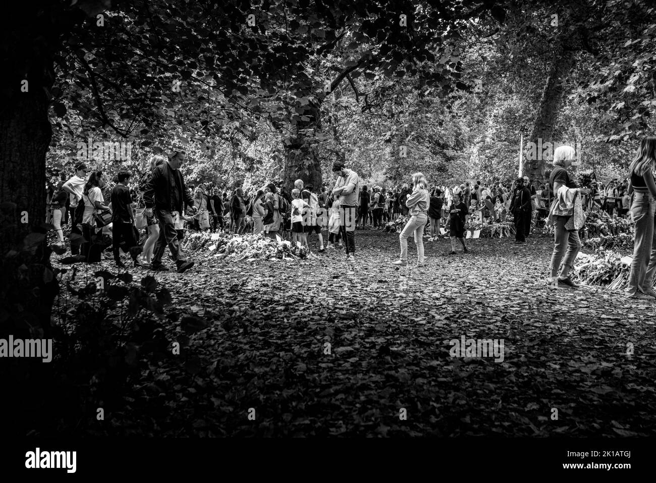 Around London in the year of Queen Elizabeth II passing Stock Photo - Alamy