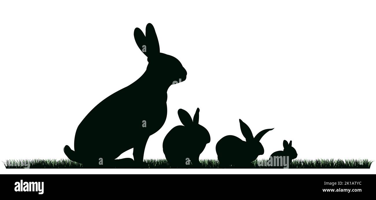 Rabbits are grazing. Picture silhouette. Farm pets. Fur animals ...