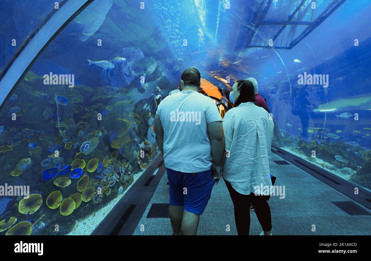 DUBAI, UAE - May 5, 2022: People are inside the Oceanarium tunnel at ...