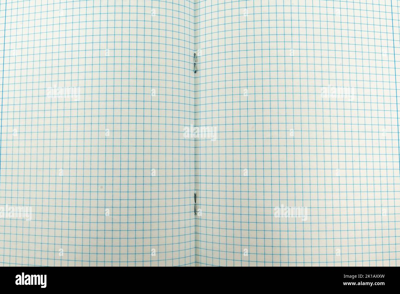 Texture, background of a school notebook in a cage close-up Stock Photo ...