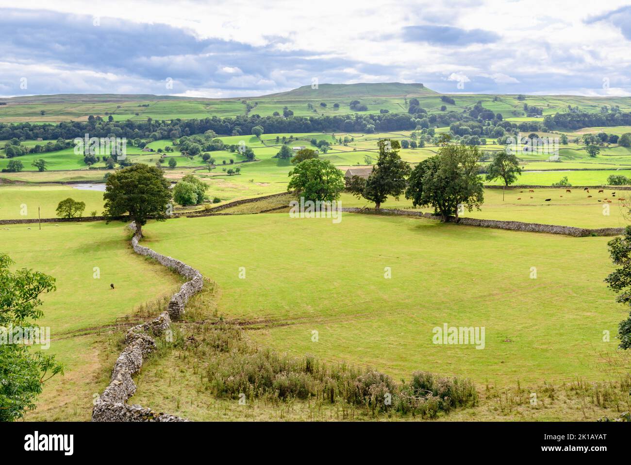 Green fields and Addleborough in Wensleydale Stock Photo - Alamy