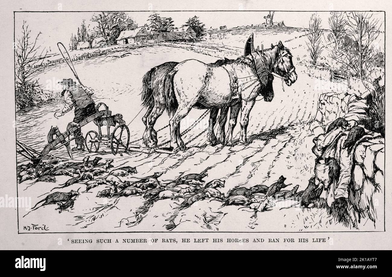 Ploughing horse illustration hi-res stock photography and images - Alamy