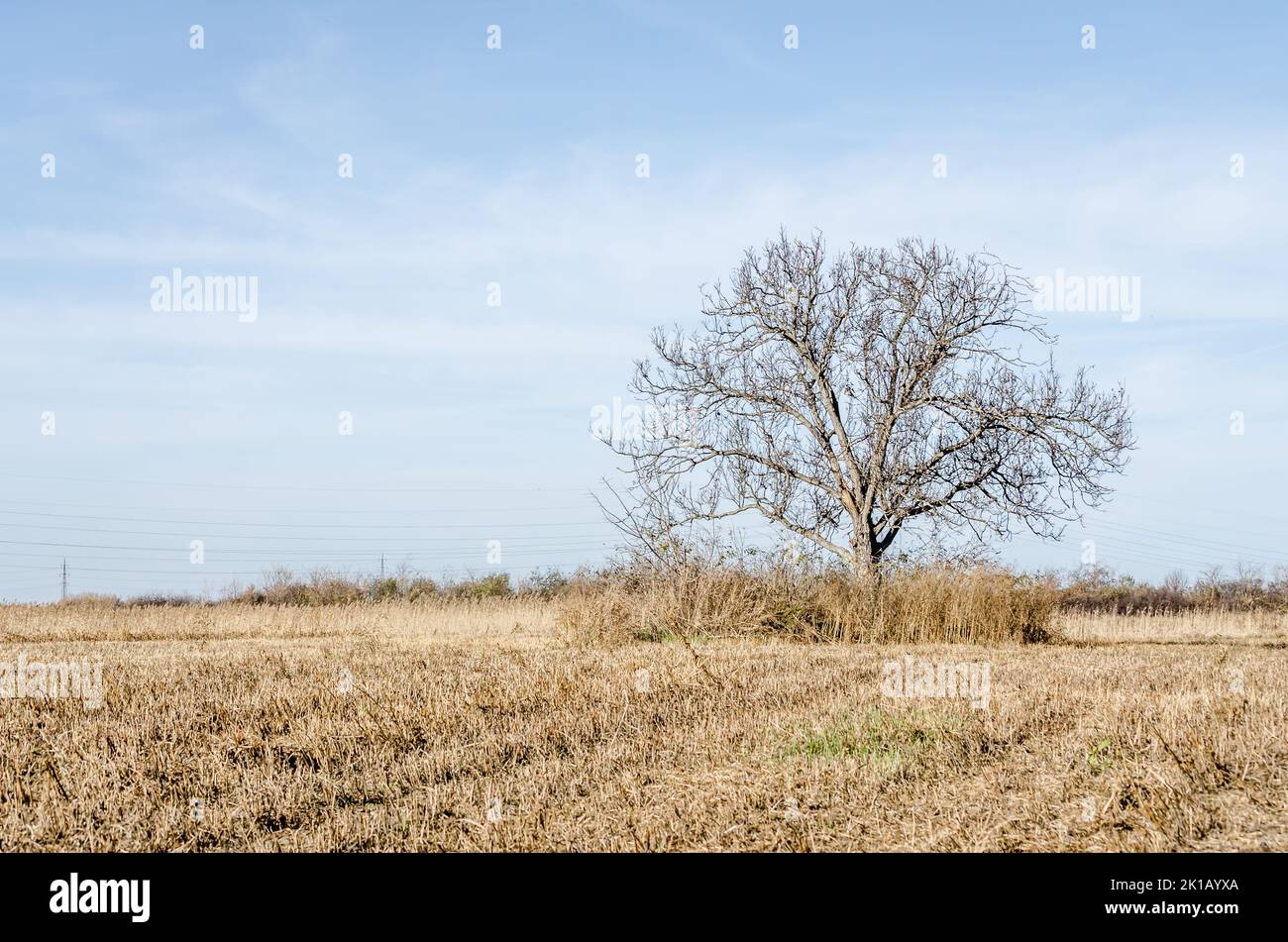 Winter agricultural panoramic landscape with fields Stock Photo - Alamy