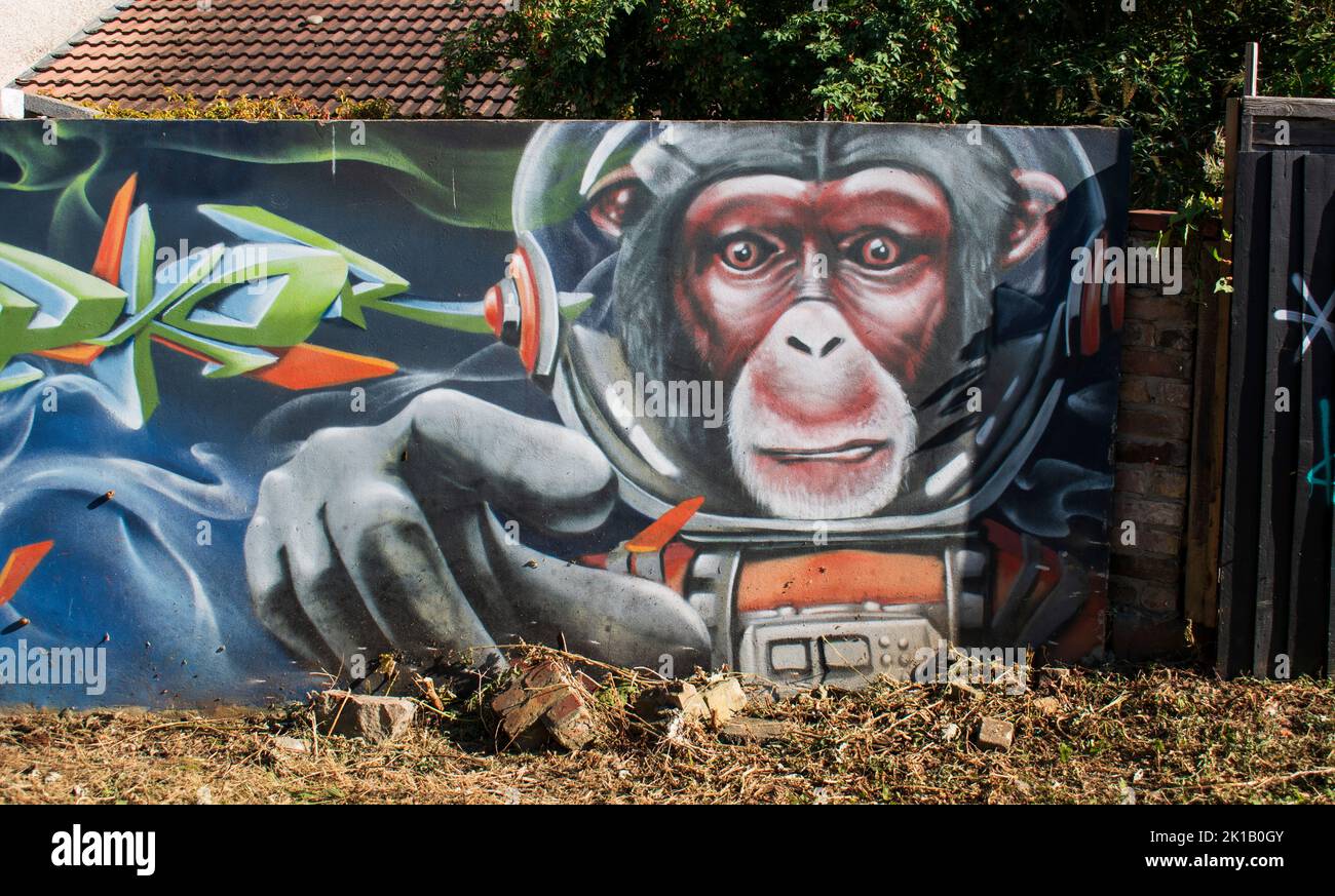Monkey graffiti hi-res stock photography and images - Alamy