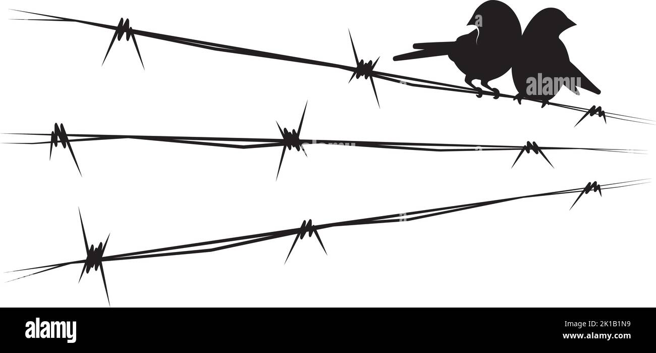 Bird On A Barbed Wire Silhouette