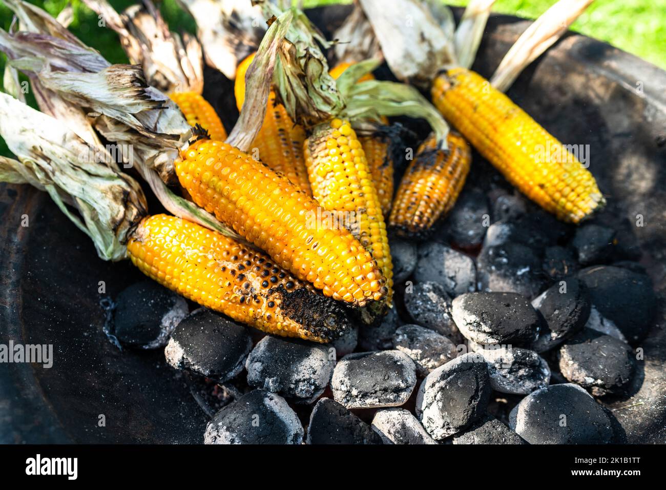 Whole Corn cobs roasted on hot coal Stock Photo - Alamy