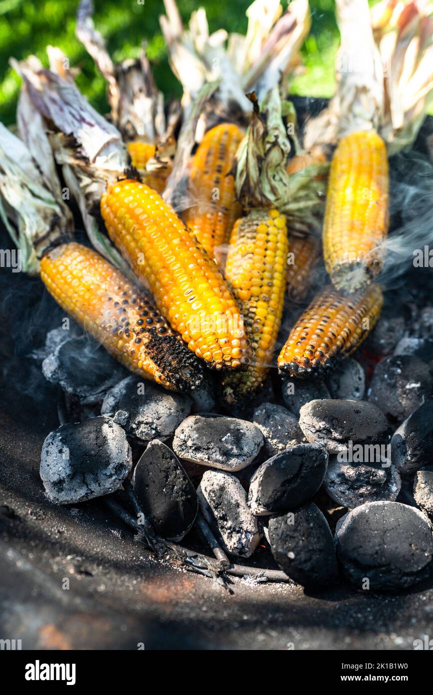 Roasted corn cobs on hot bbq coal, close up view, autumn picnic food ...