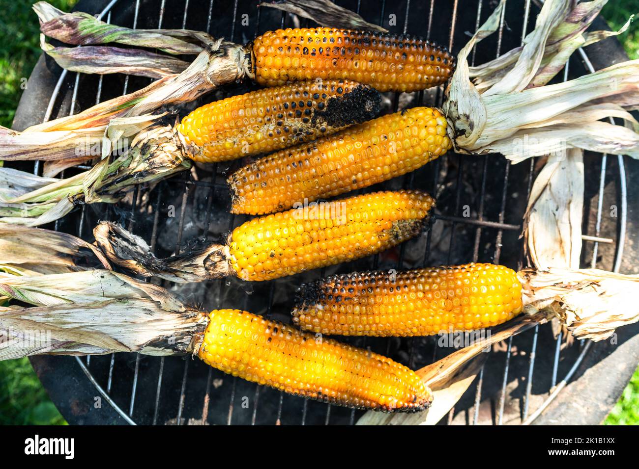 Roasted corn cobs on hot bbq coal, close up view, autumn picnic food ...
