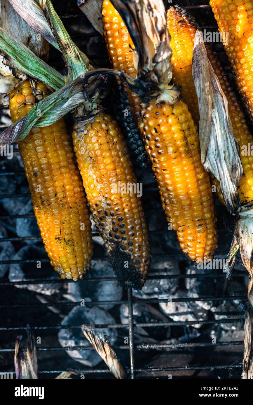 Whole Corn cobs roasted on hot coal Stock Photo - Alamy