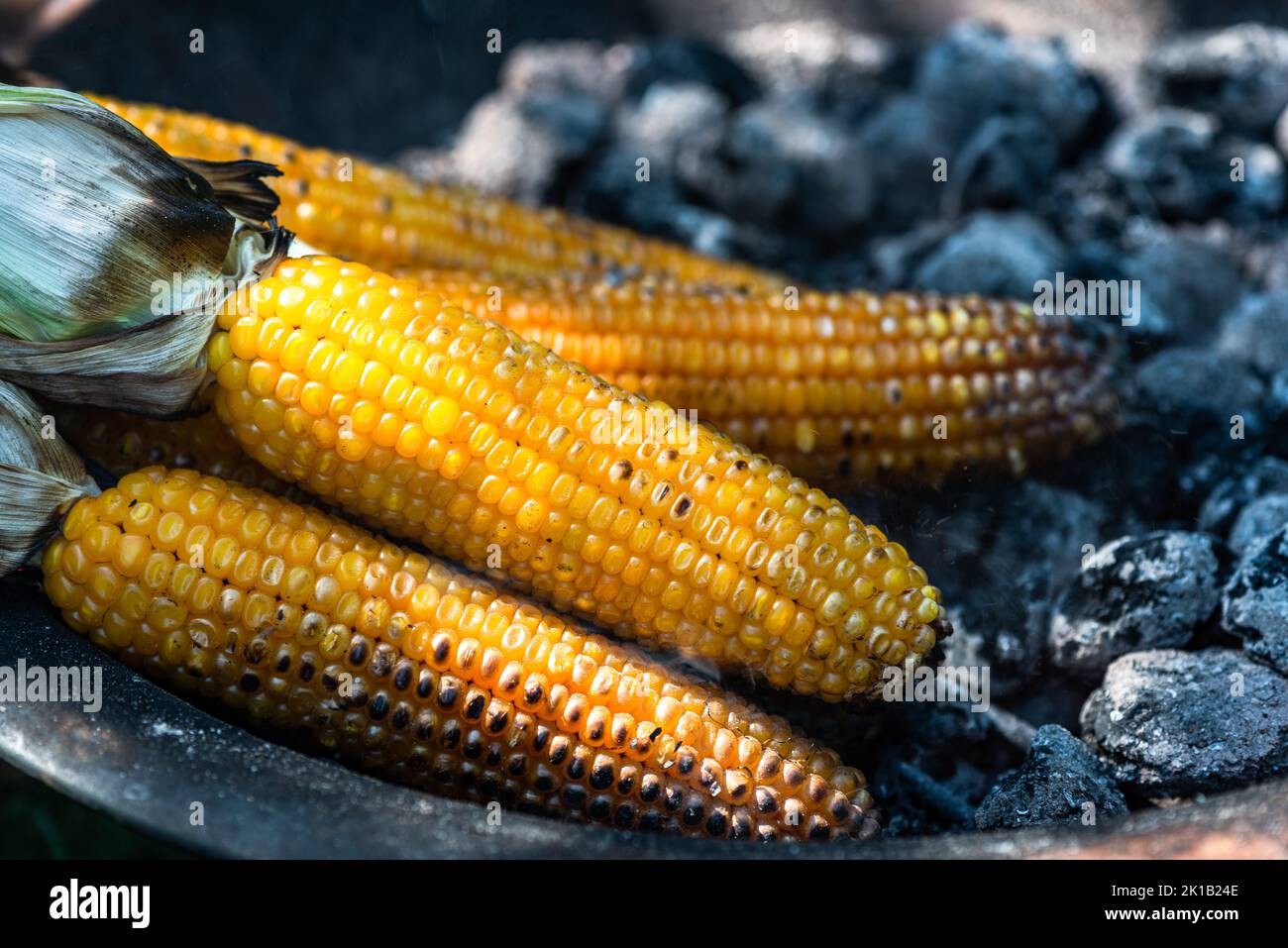 Roasted corn cobs on hot bbq coal, close up view, autumn picnic food ...