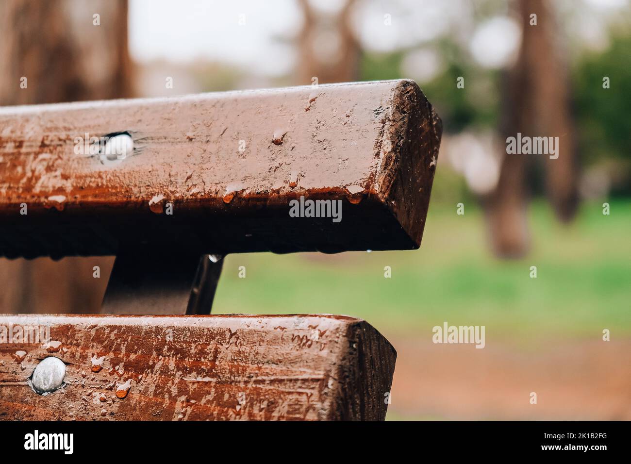 Wet bench in the park in the rain. Rainy weather. Wooden chair in the ...