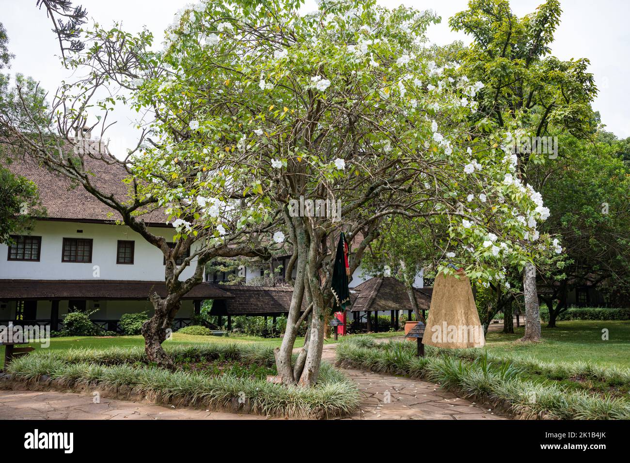 Kenyan Weddings Indian Asian Hindus Cultural heritage traditional ...
