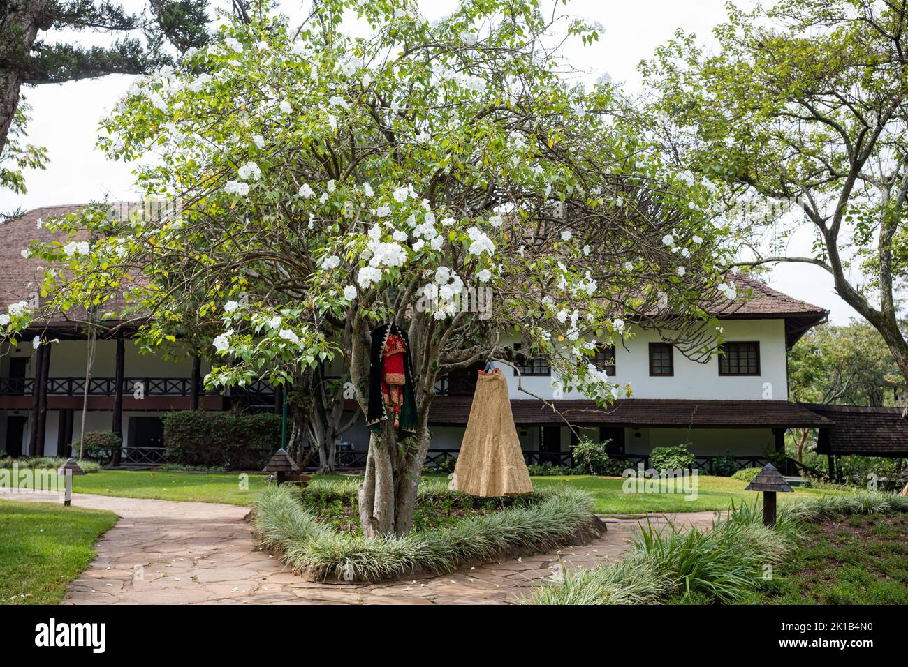 Kenyan Weddings Indian Asian Hindus Cultural heritage traditional ...
