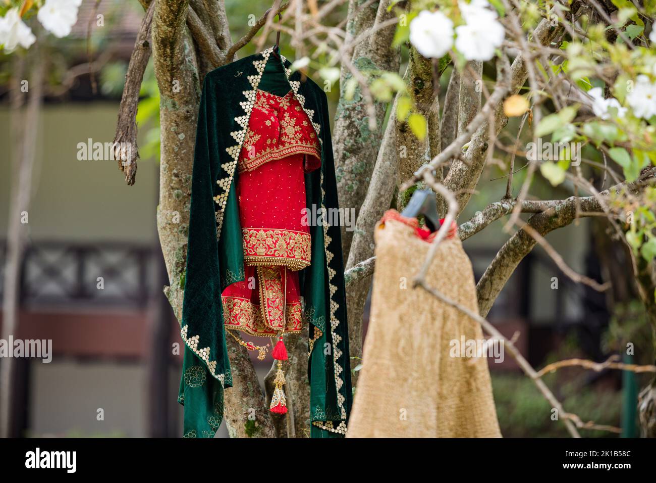 Kenyan Weddings Indian Asian Hindus Cultural heritage traditional ...
